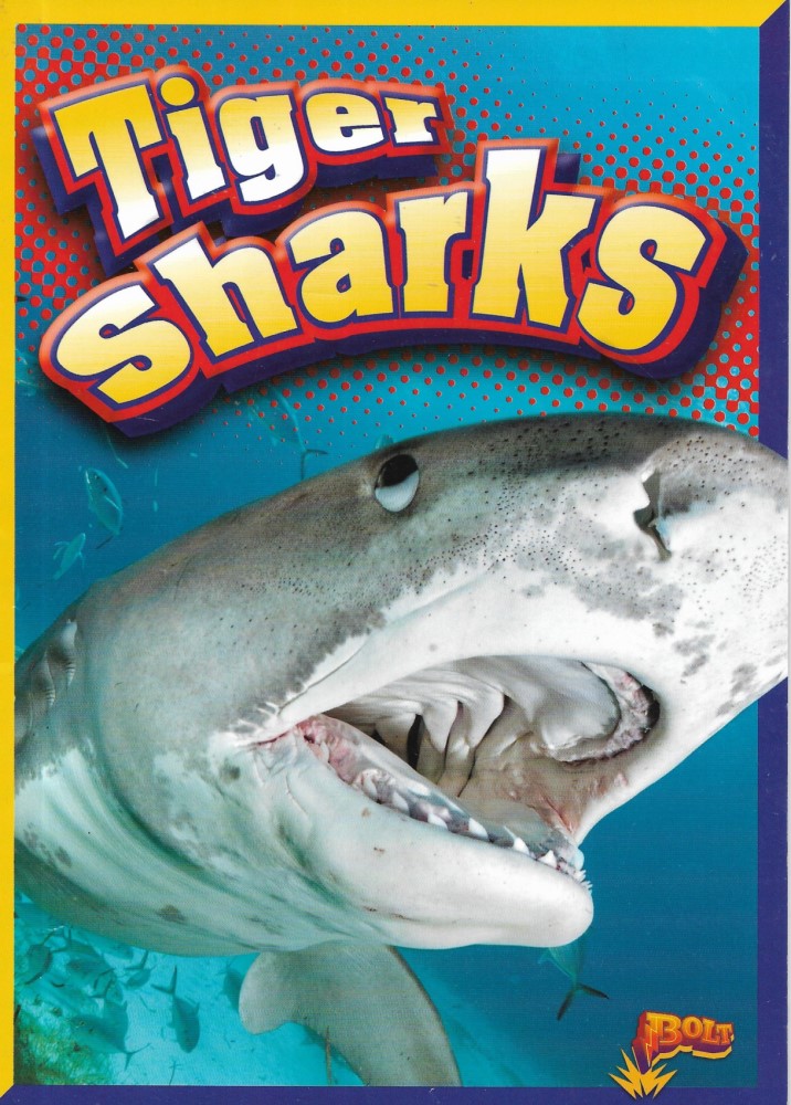 Tiger Sharks: Swimming with Sharks Series – Near New Express